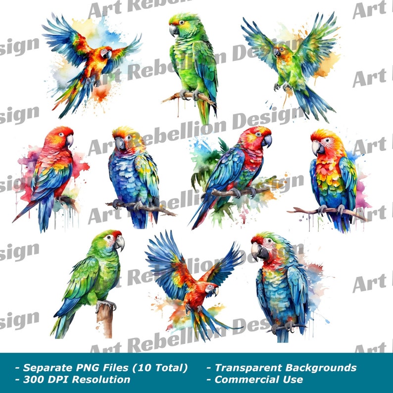 Watercolor Parrot Clipart - Tropical Bird Clip Art in PNG - Instant ...