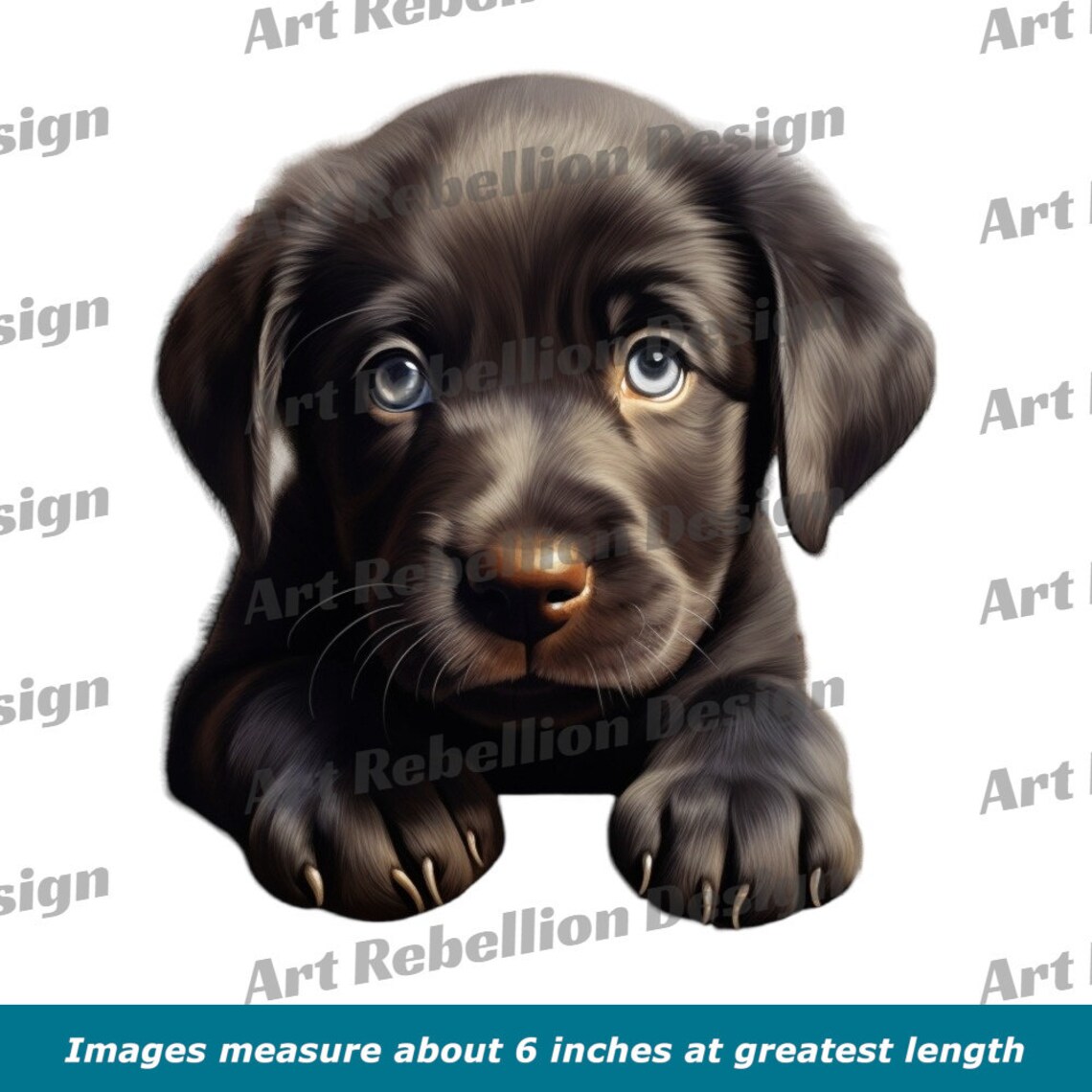 Black Labrador Puppy Clipart Cute Puppy Dog Clip Art in PNG Instant ...
