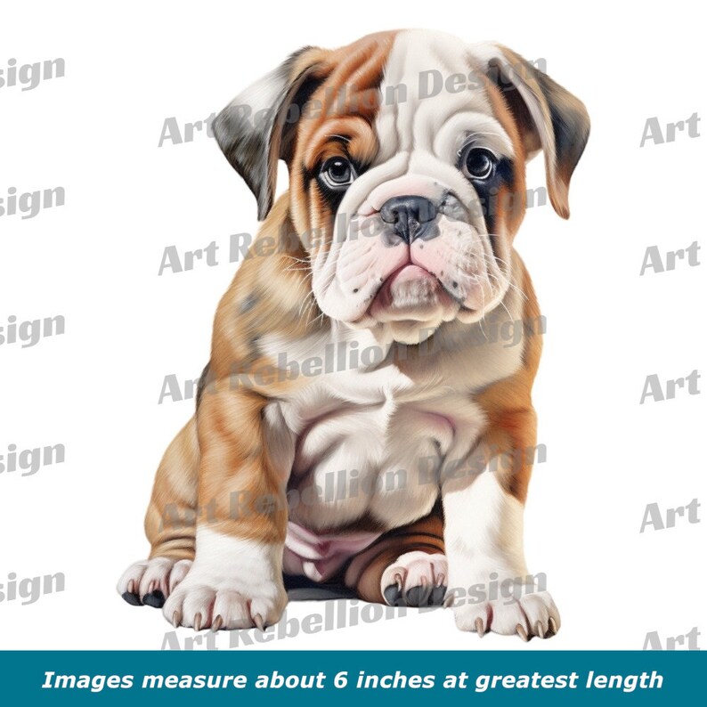 English Bulldog Puppy Clipart - Cute Dog Clip Art in PNG - Instant ...