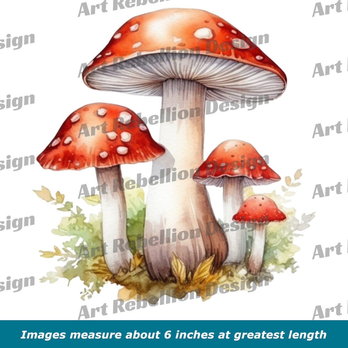 Watercolor Mushroom Clipart - Cute Mushroom Clip Art in PNG - Instant ...