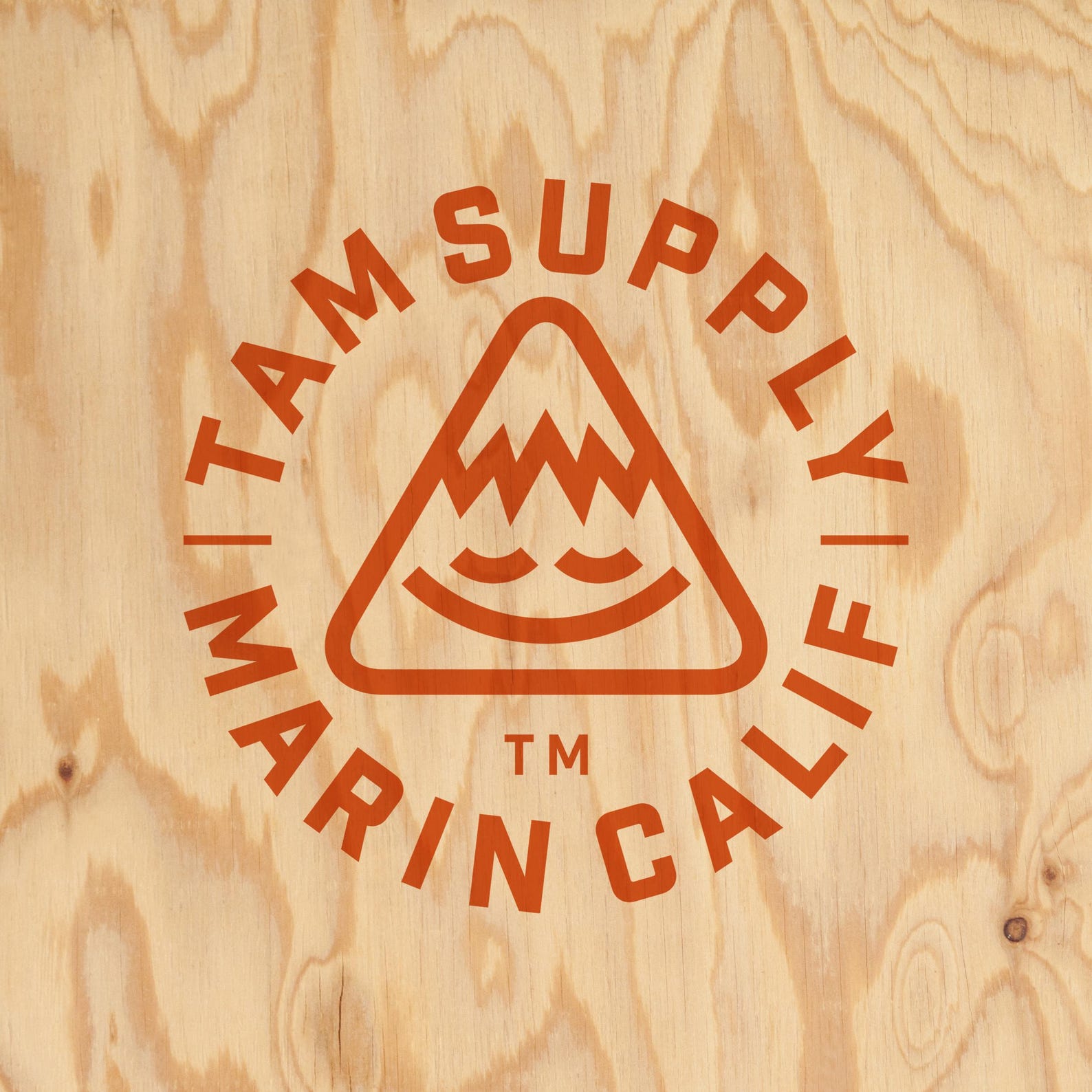 2am Club T-shirt: Marin County California Dive Bar Tee - Etsy