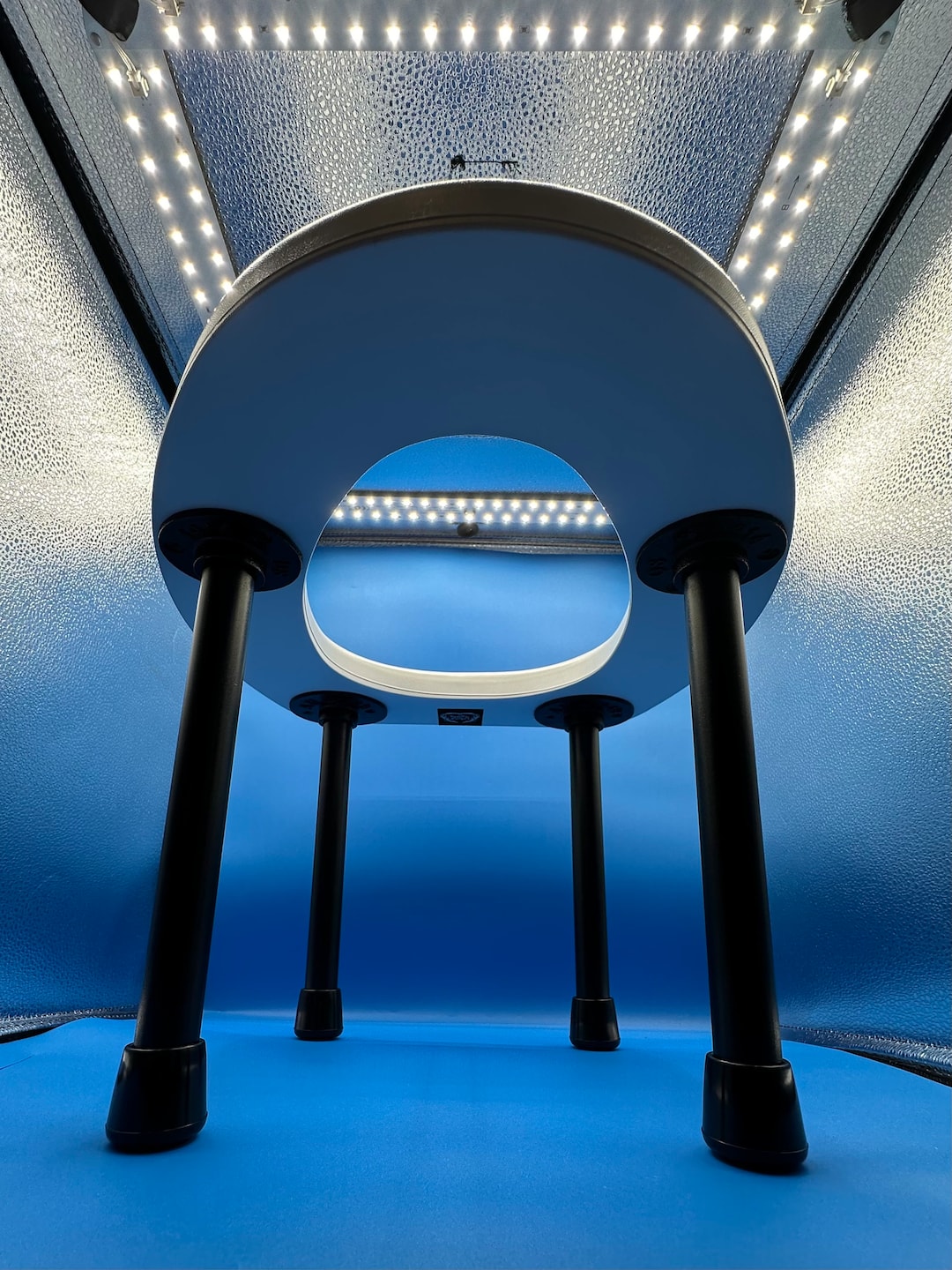 The Dick Dangler Portable Rim Seat | Queening Chair | Facesitting ...