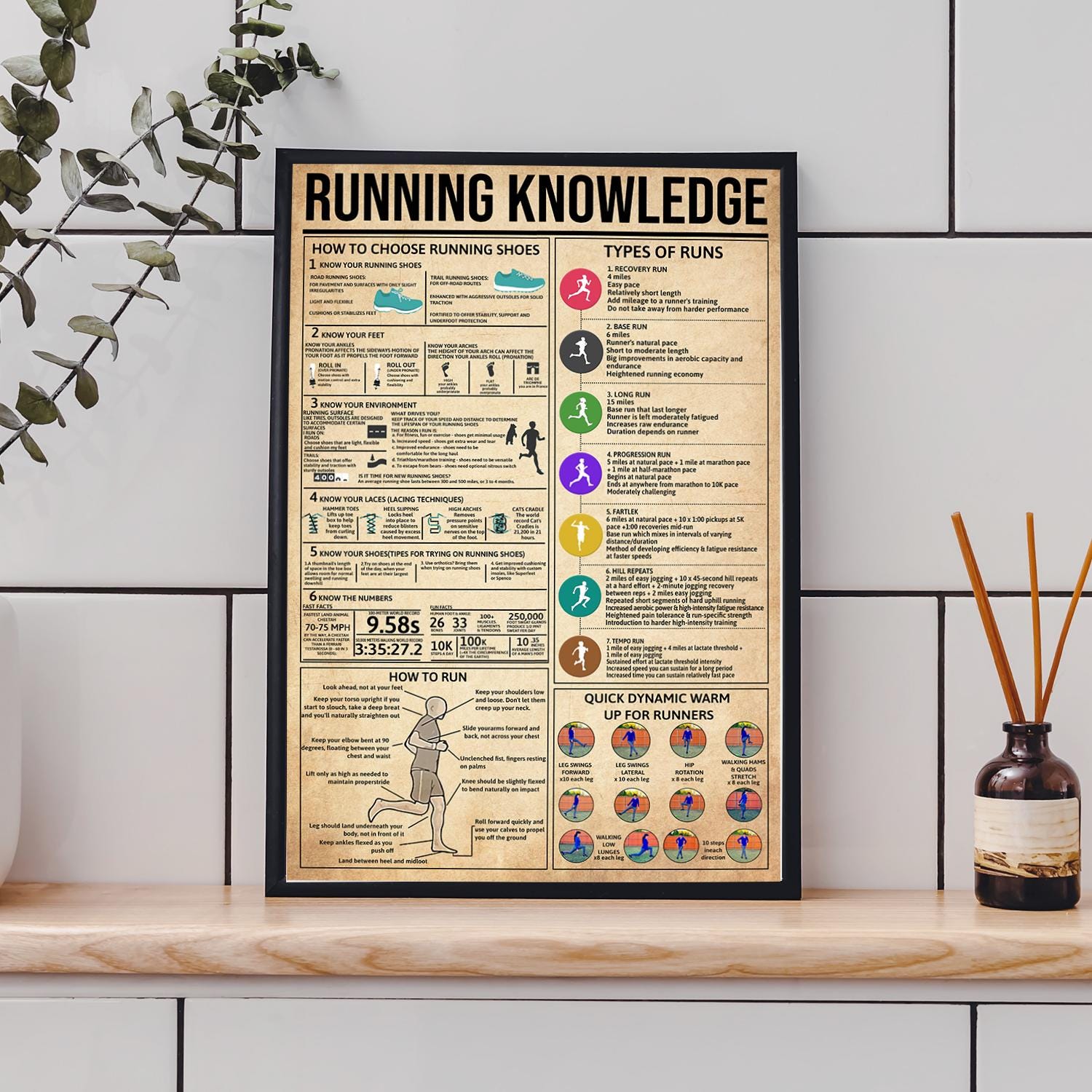 Running Knowledge Poster, How to Choose Running Shoes, Type of Runs ...