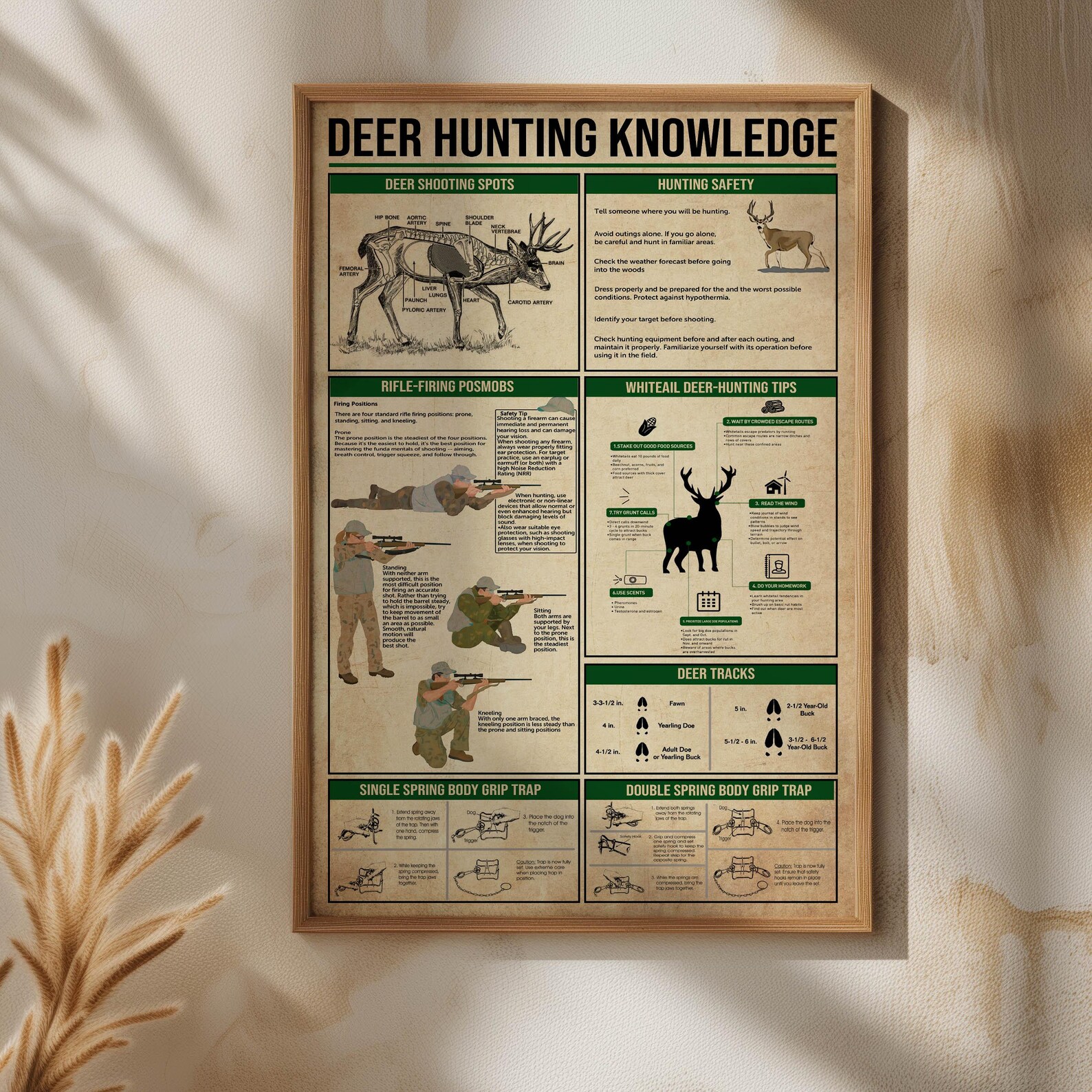 Deer Hunting Knowledge Poster, Deer Anatomy Print Hunter Guide, Deer ...