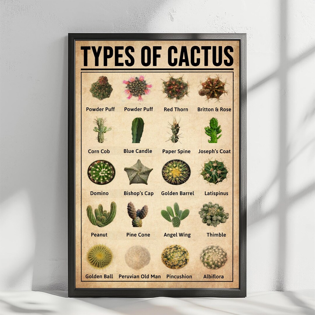 Vintage Cactus Poster, Desert Species Cactus Knowledge Poster ...