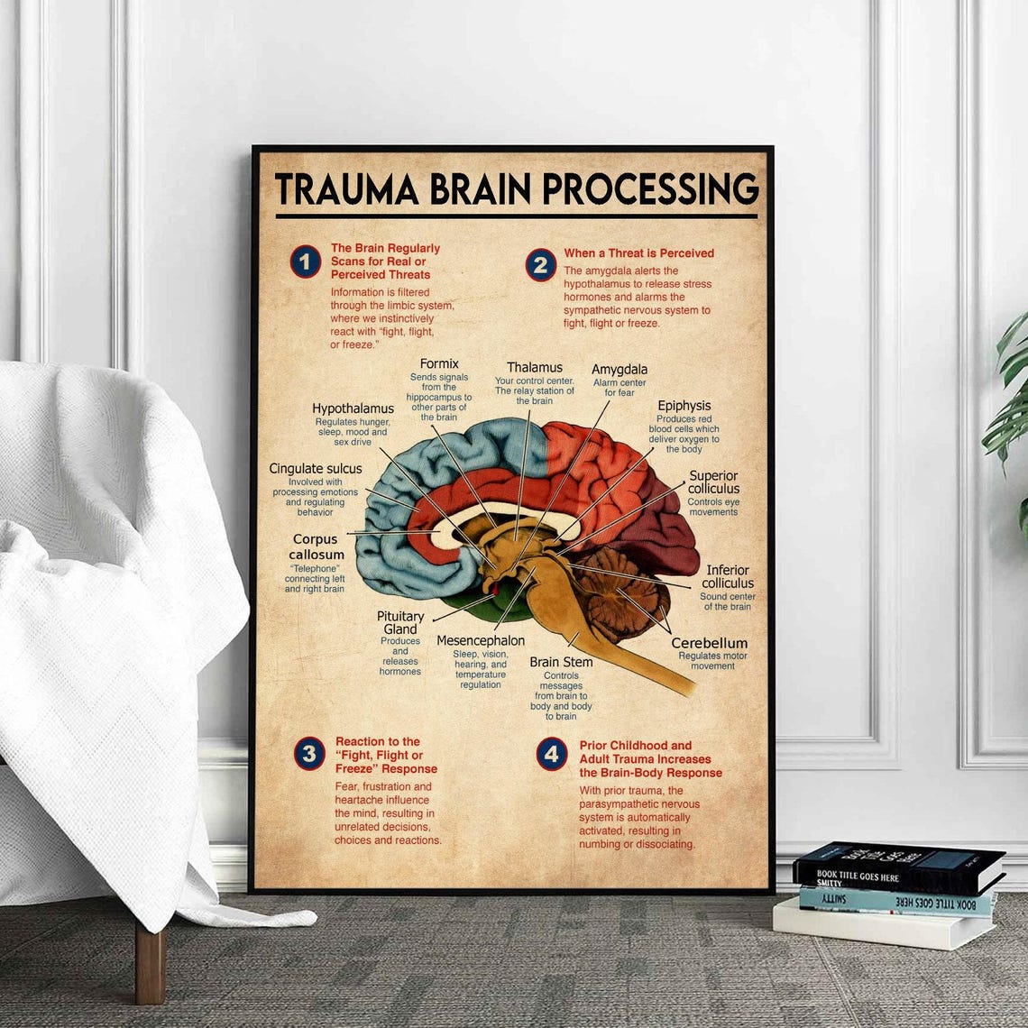 Trauma Brain Processing Poster, Brain Anatomy Poster Brain Zones Mental ...