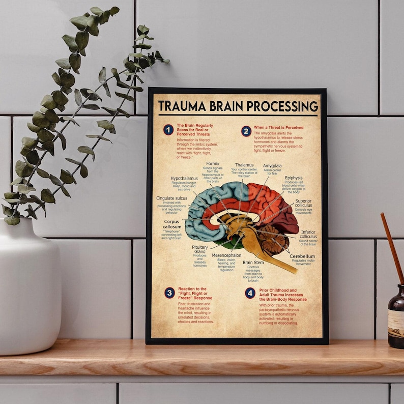 Trauma Brain Processing Poster, Brain Anatomy Poster Brain Zones Mental ...
