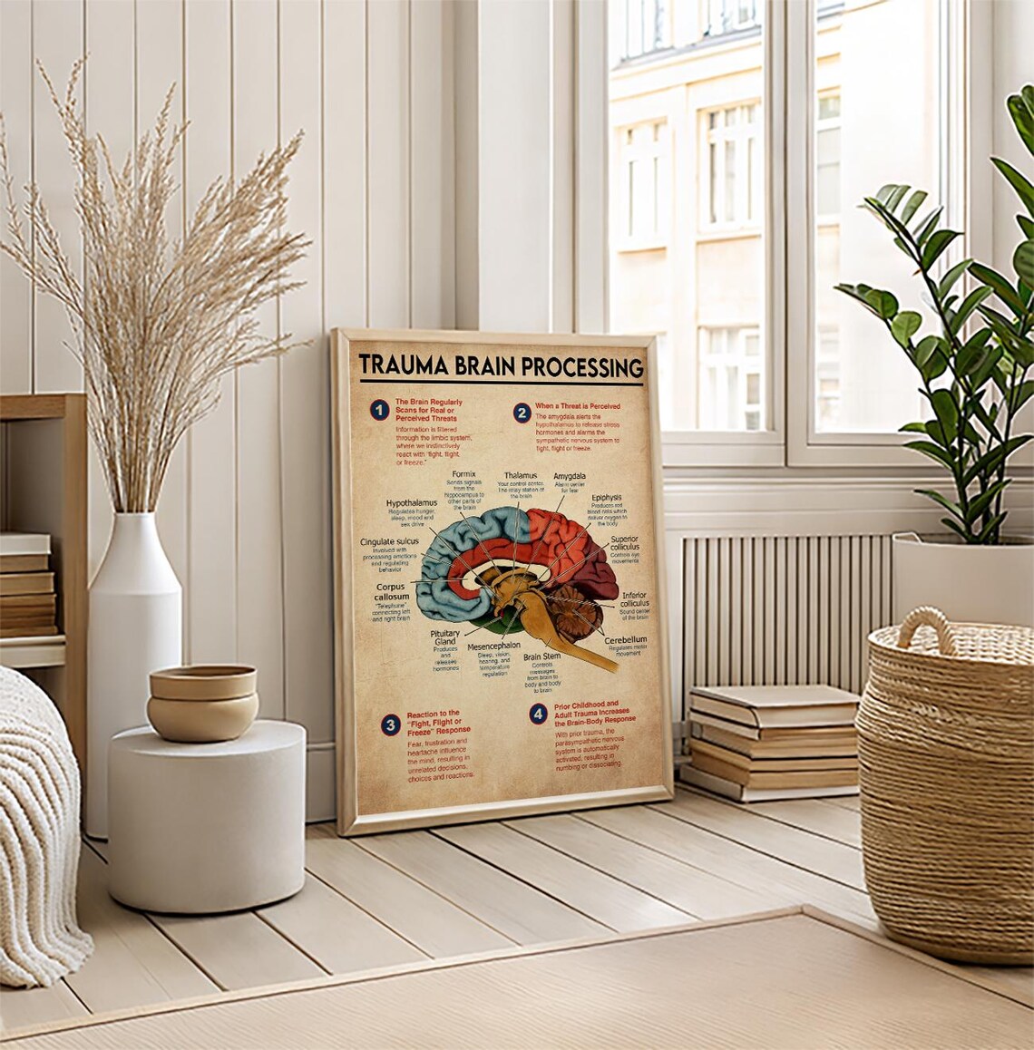 Trauma Brain Processing Poster, Brain Anatomy Poster Brain Zones Mental ...