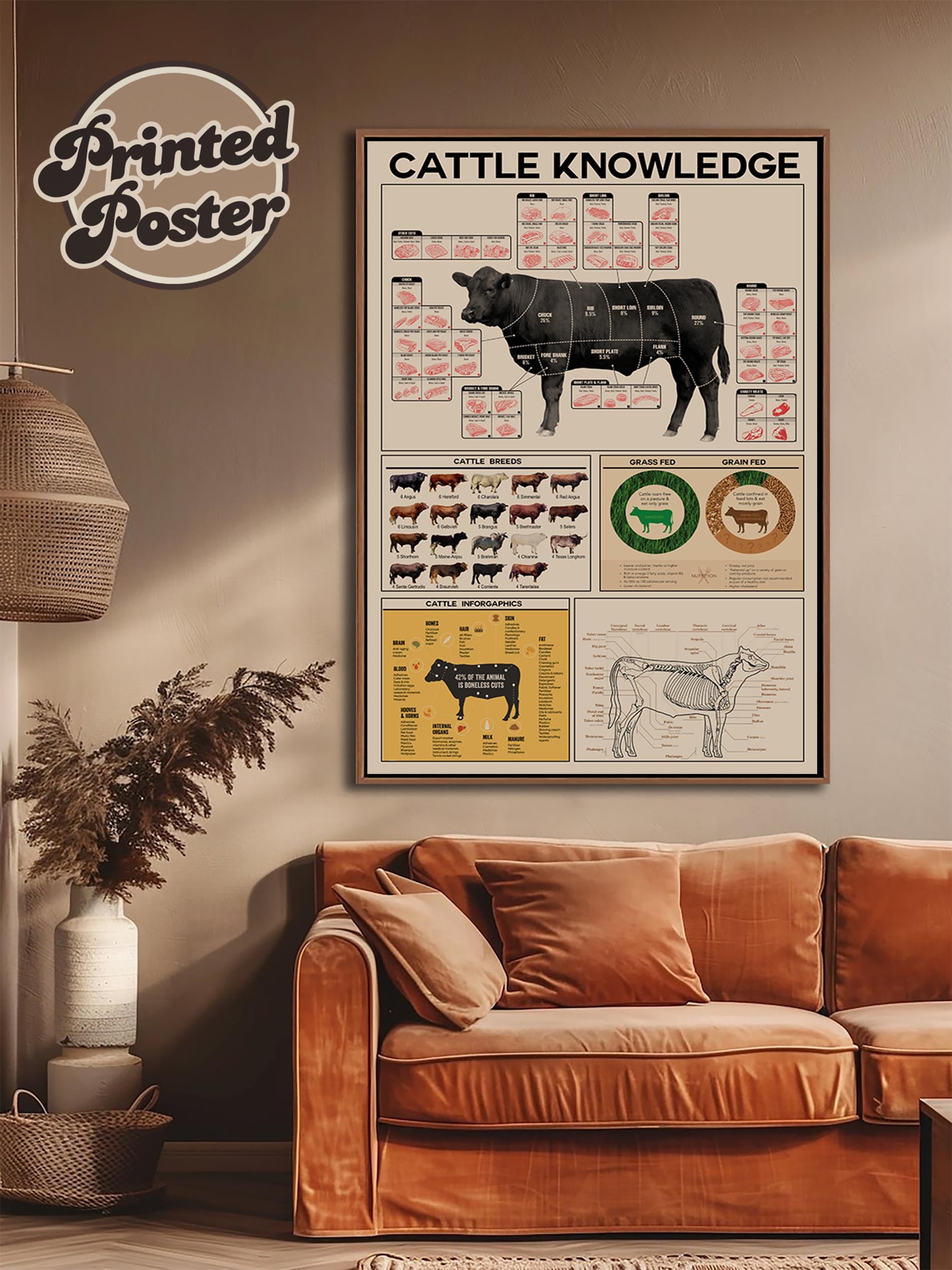 Cattle Knowledge, Beef Knowledge Poster, Beef Butcher Guide, Beef Cuts ...