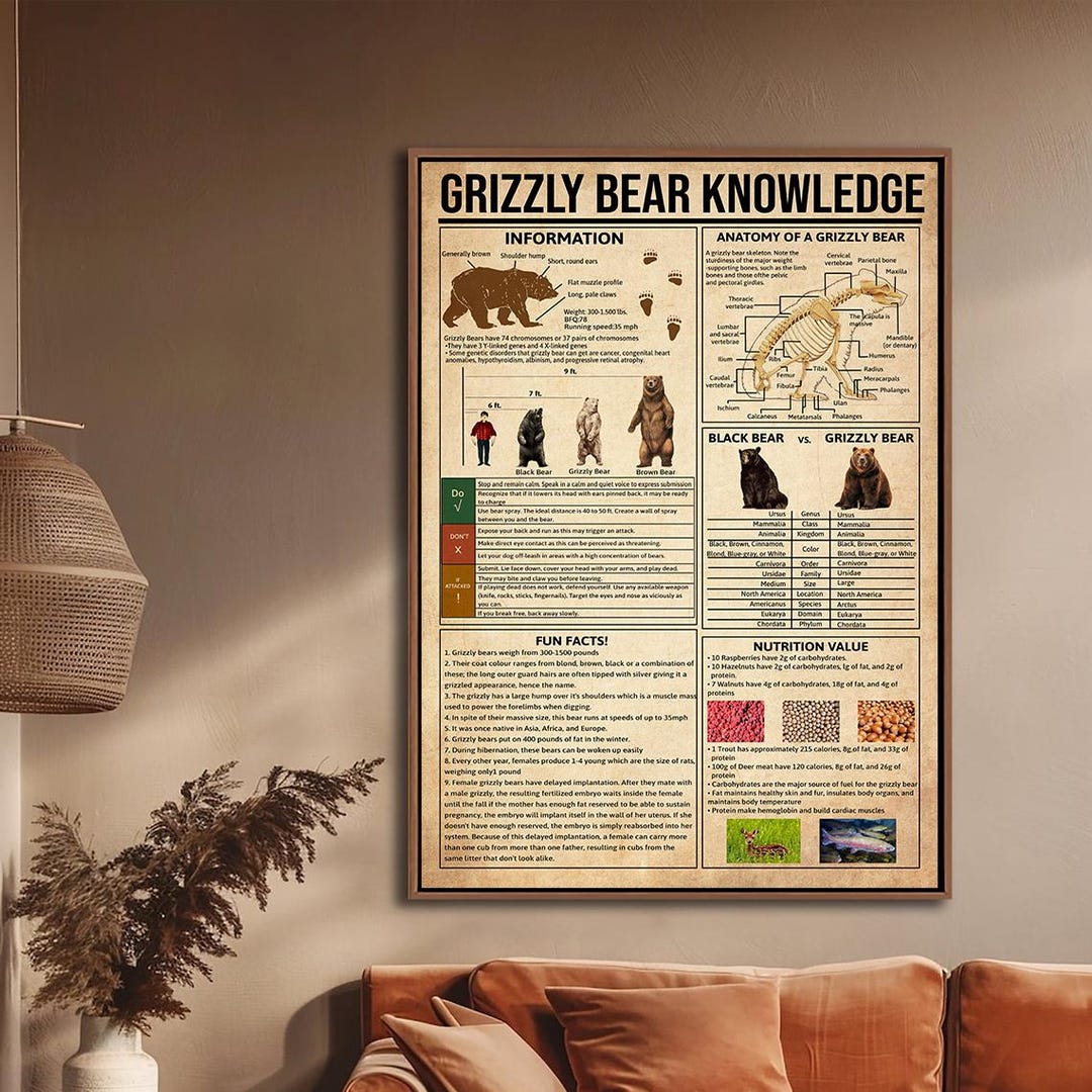 Grizzly Bear Knowledge Poster, Grizzly Bear Print, Bears Art, Bears ...