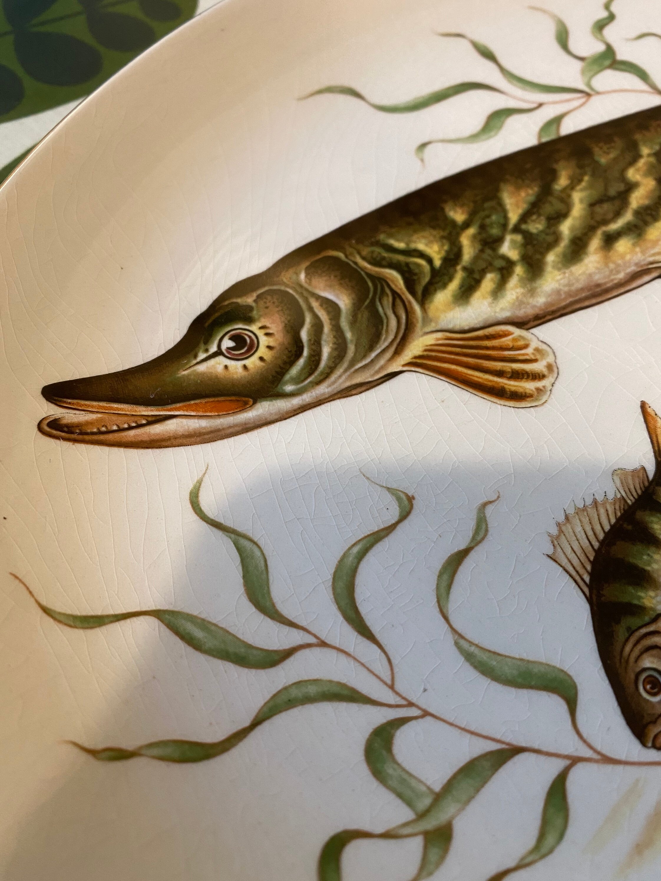 Pike Plate Myotts Fine White Ironstone Porcelain Fish Plate 1960s Pike ...