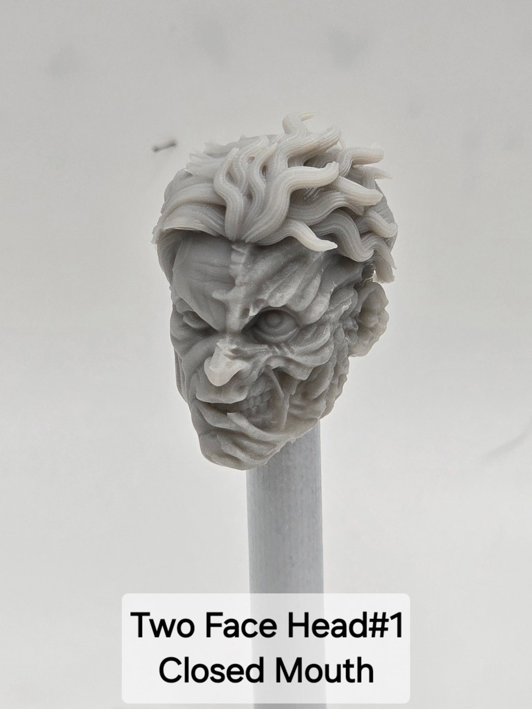 Custom 3d Printed Classified Legends Compatible Comic Multiverse Dent ...