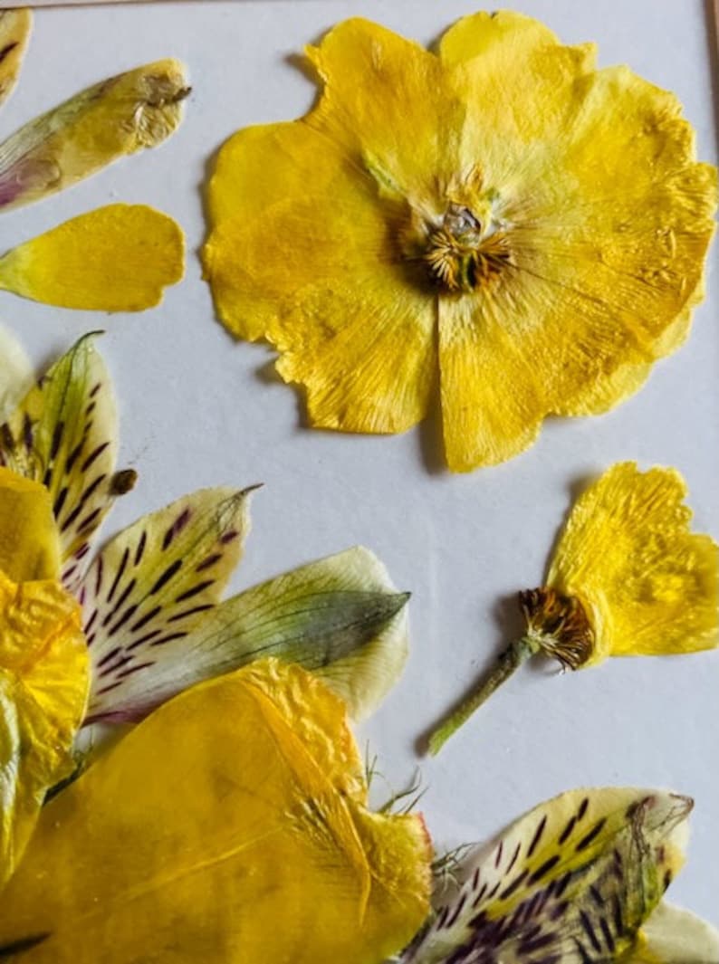 Pressed Floral Art / Pressed Flower Frame / Preserved Bouquets and ...