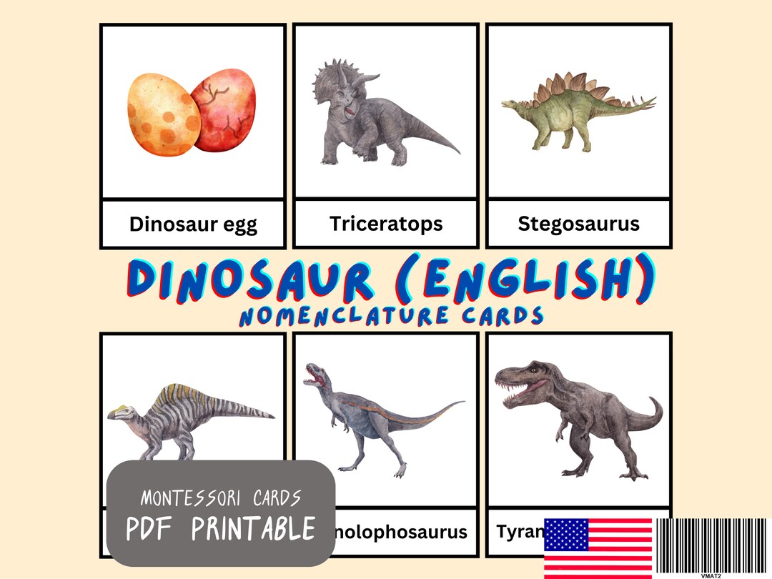 Dinosaur Flash Cards in English | 14 Montessori Cards | 3 Part Cards ...