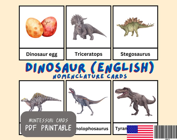 Montessori Dinosaur 3 Part Cards - Etsy Ireland