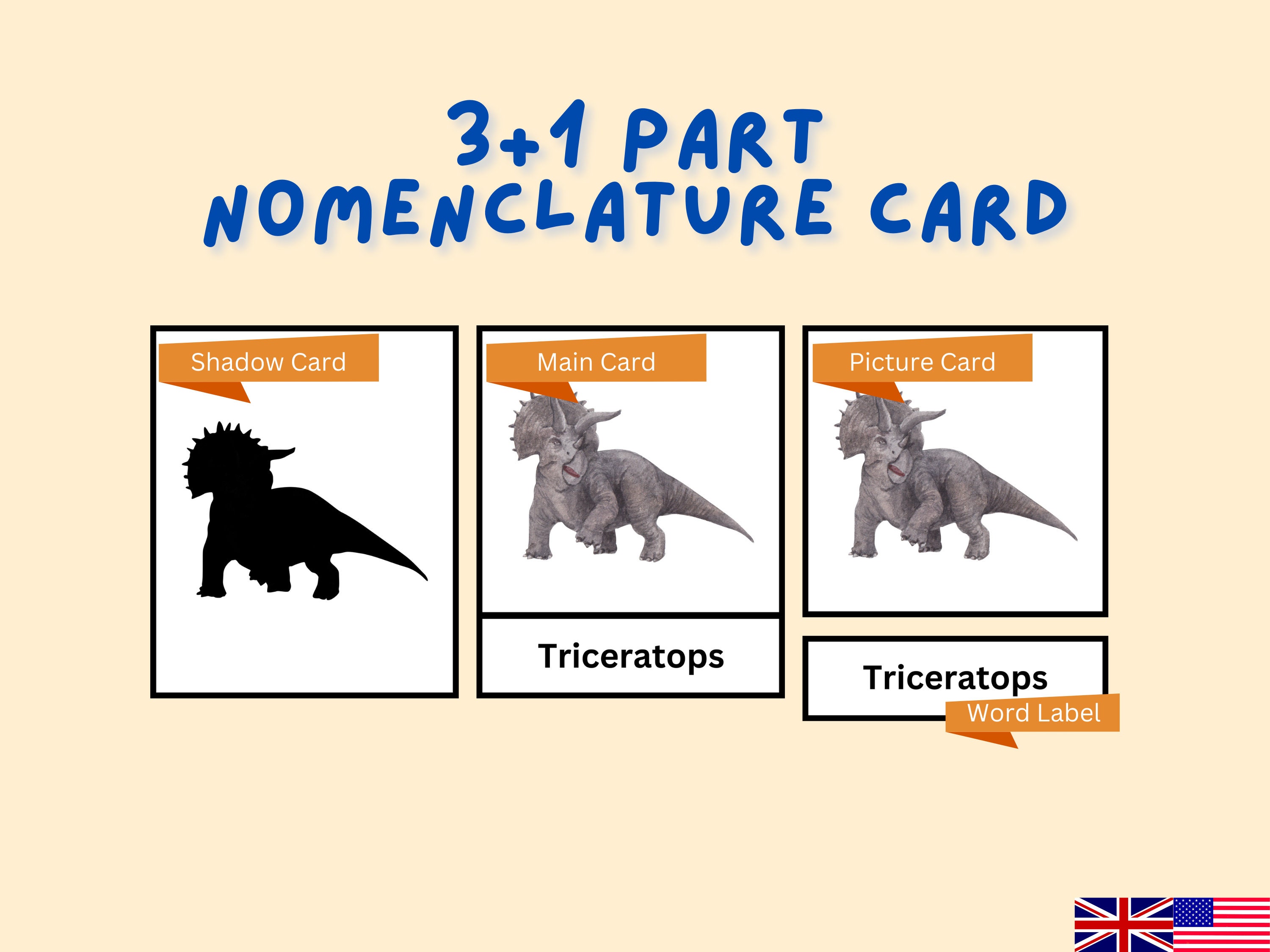 Dinosaur Flash Cards in English | 14 Montessori Cards | 3 Part Cards ...