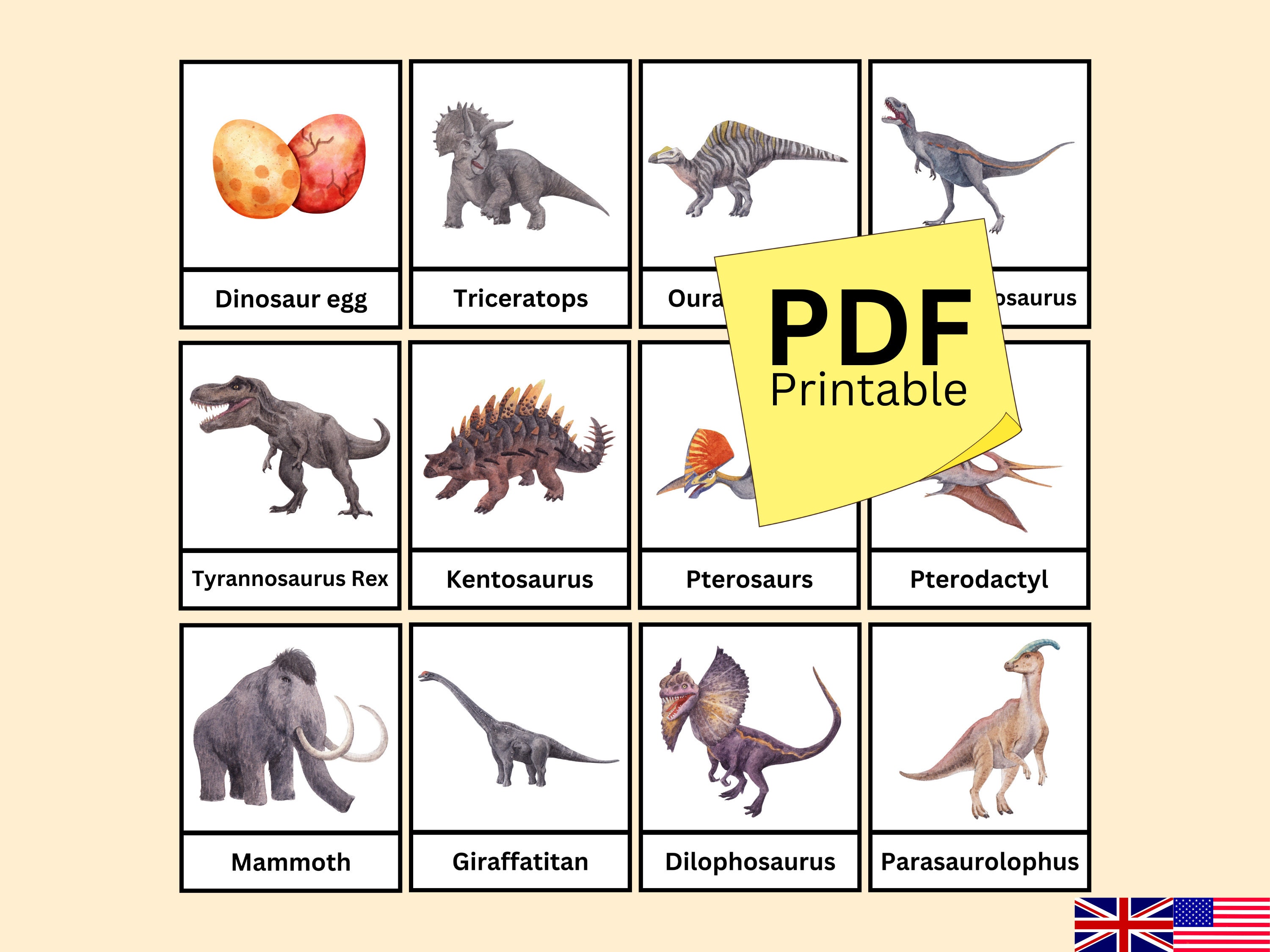 Dinosaur Flash Cards in English 14 Montessori Cards 3 Part - Etsy