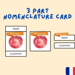 Fruits Flash Cards in French & English Bilingual | 29 Montessori Cards ...