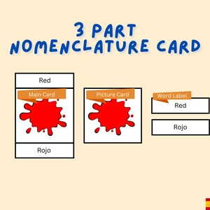 Colors Flash Cards in Spanish & English Bilingual Beginner | 20 ...