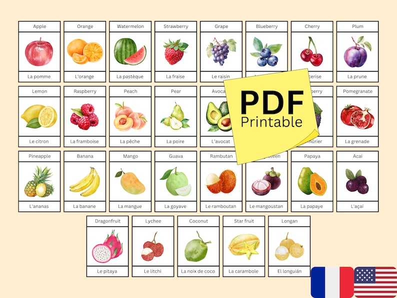 Fruits Flash Cards in French & English Bilingual | 29 Montessori Cards ...