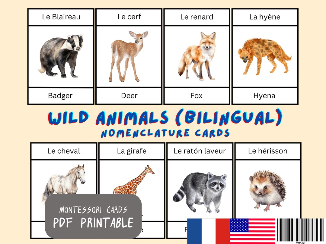 Wild Animal Flash Cards in French & English Bilingual | 24 Montessori ...