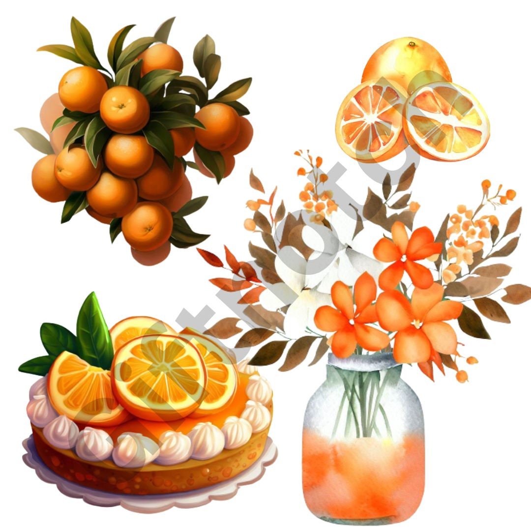Orange Summer Clipart, Citrus Clipart, Vintage Orange Illustration ...