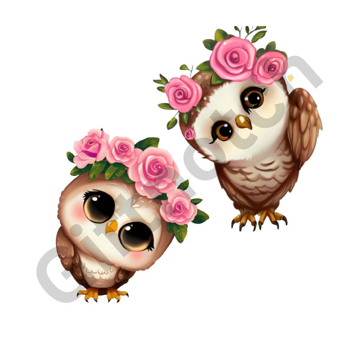 Owl Clipart, Cute Owl Png, Watercolor Owl, Owl PNG, Owl Clipart, Owl ...