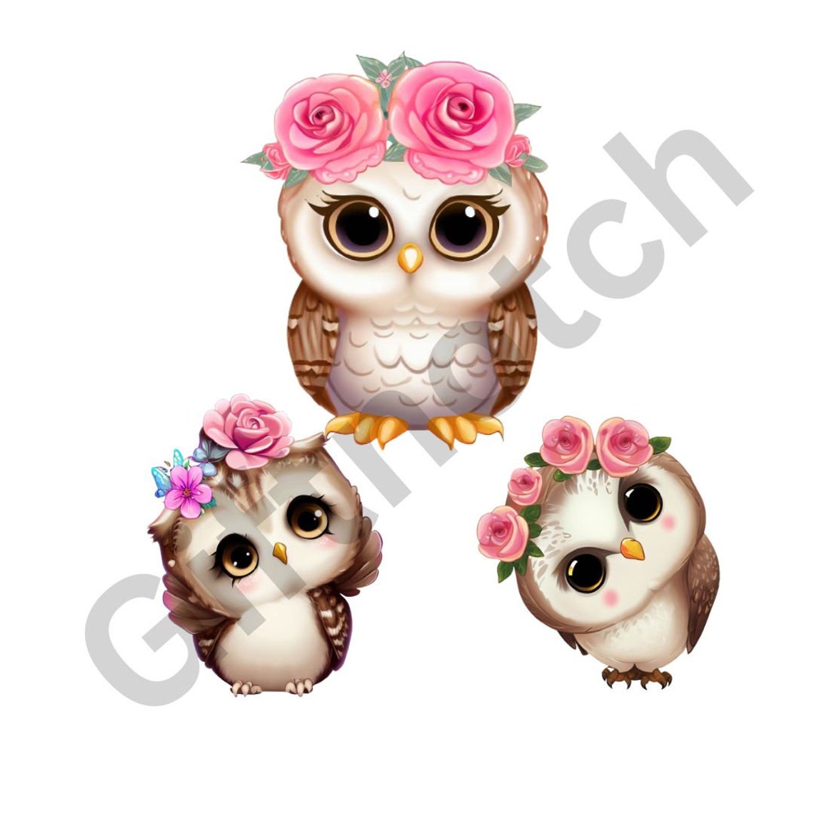 Owl Clipart, Cute Owl Png, Watercolor Owl, Owl PNG, Owl Clipart, Owl ...