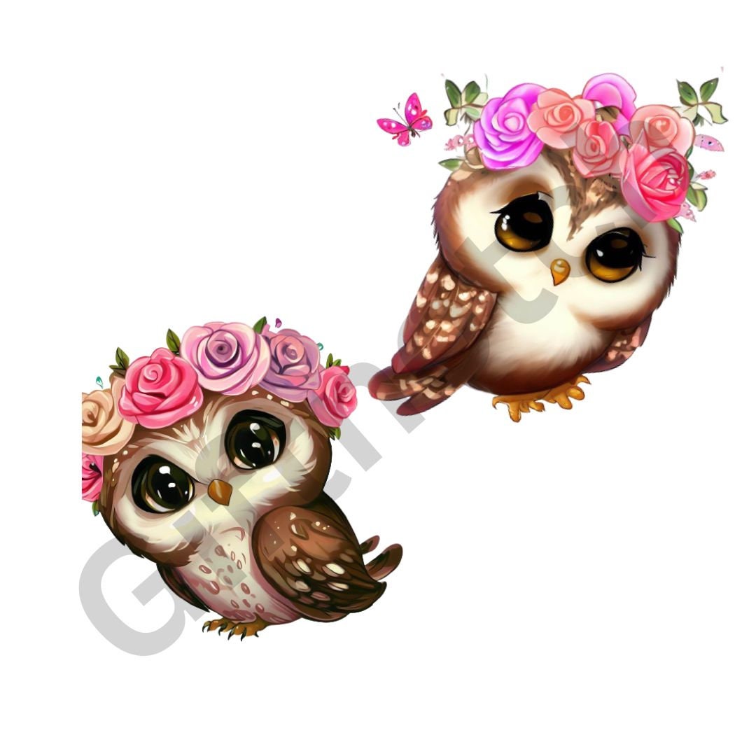 Owl Clipart, Cute Owl Png, Watercolor Owl, Owl PNG, Owl Clipart, Owl ...