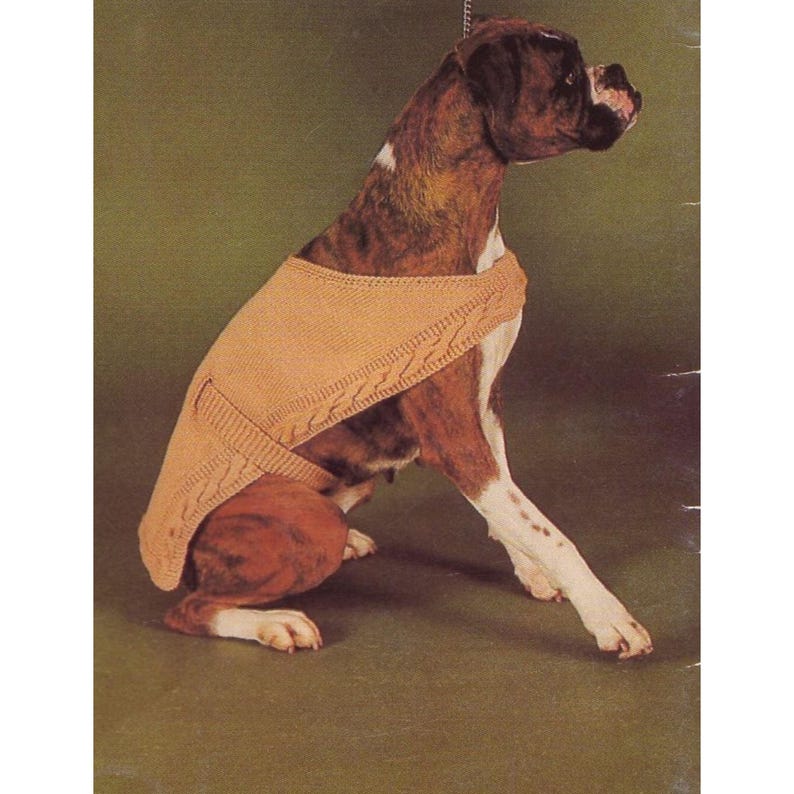 Dog Coat Knitting Pattern Dog Sweater Knit Small Medium Large Dog ...
