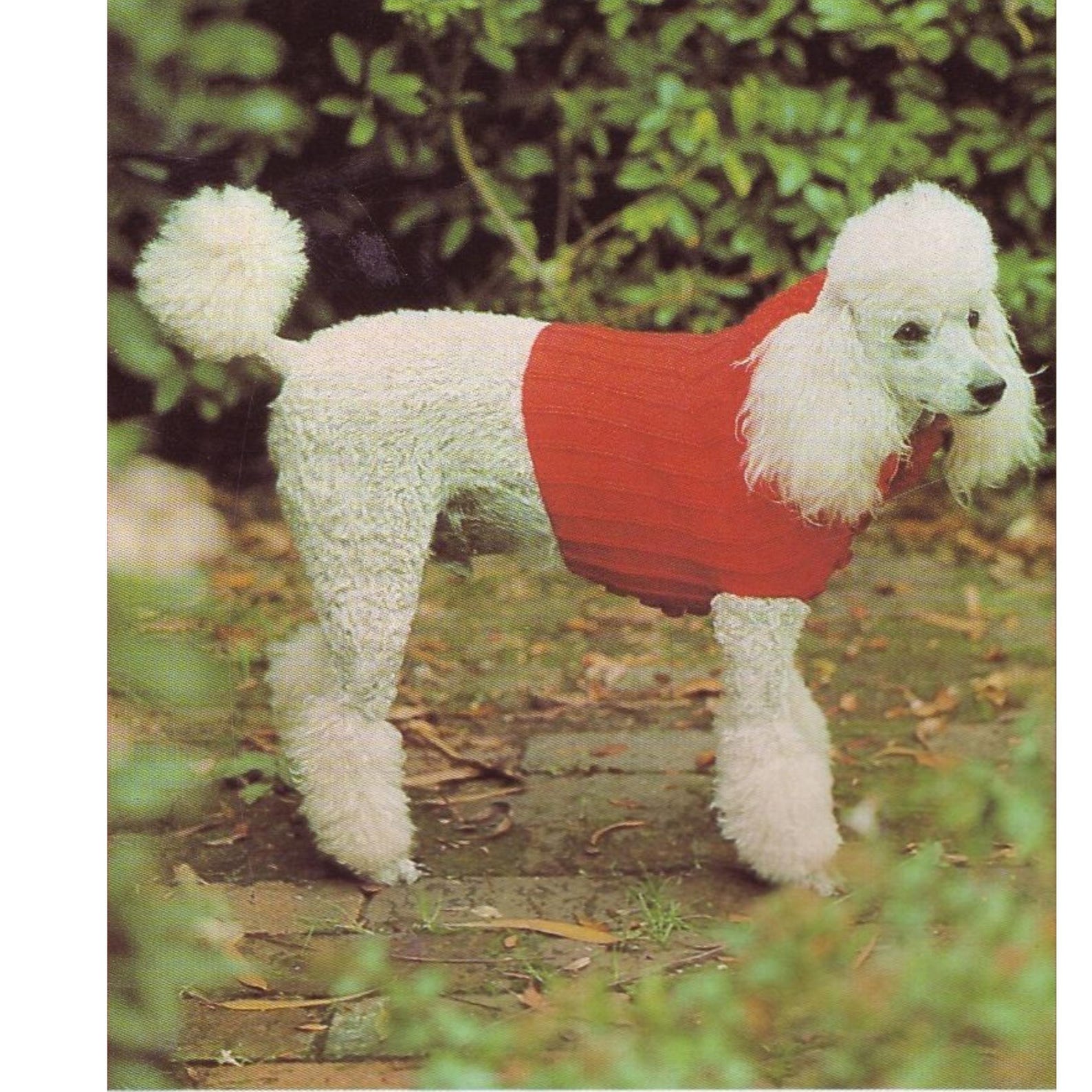 Dog Coat Knitting Pattern Dog Sweater Knit Small Medium Large Dog ...