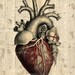 Vintage Gothic Heart Artwork - Etsy