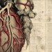 Vintage Gothic Heart Artwork - Etsy