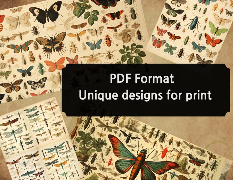 Vintage Insects Printables - Etsy