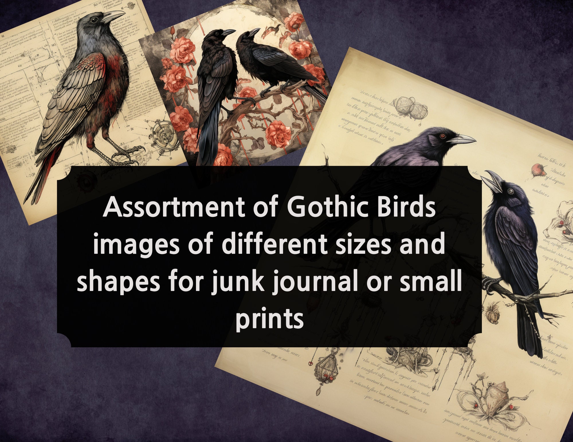 Gothic Birds Printables - Etsy