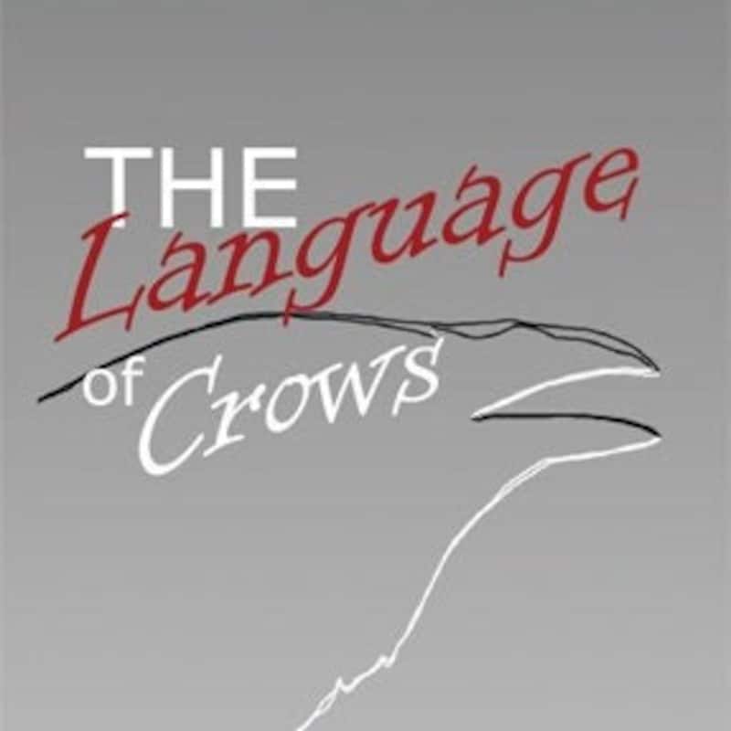 Books on Ravens Crows - Etsy