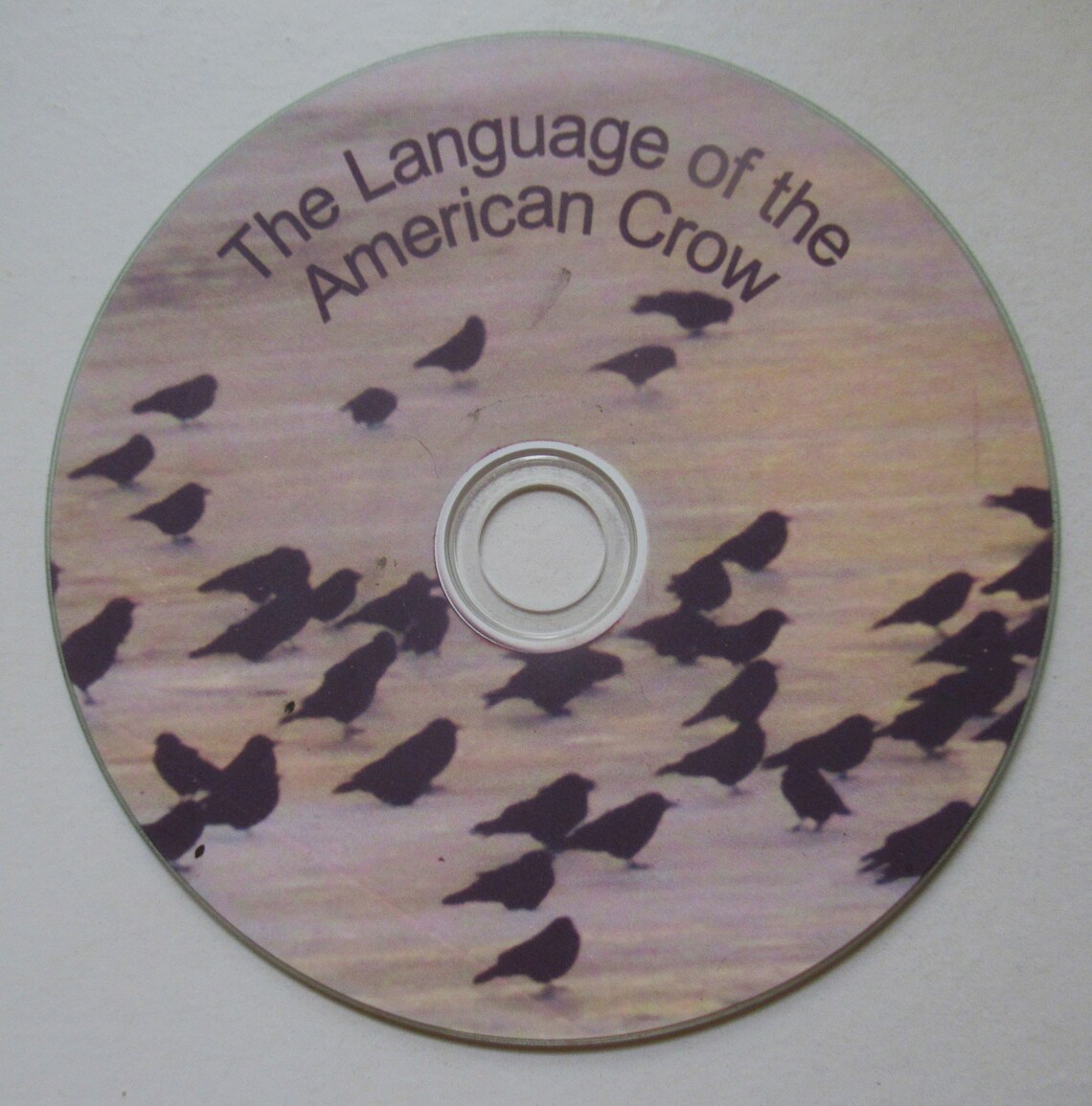 The Language of Crows: the Crows.net Book of the American Crow by ...
