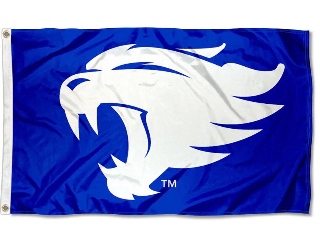 Kentucky Wildcats Alternate Wildcat Logo SEC NCAA 3x5 - Etsy