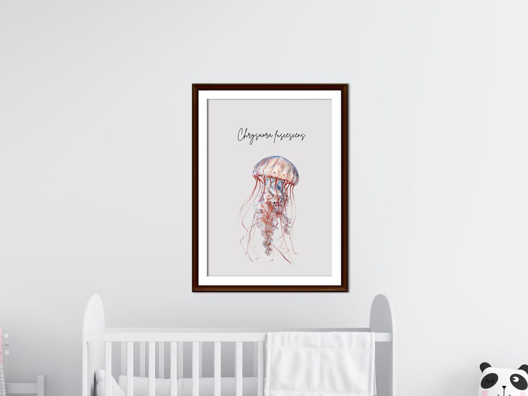 Minimalist Jellyfish Poster | Digital Jelly Poster | Chrysaora ...