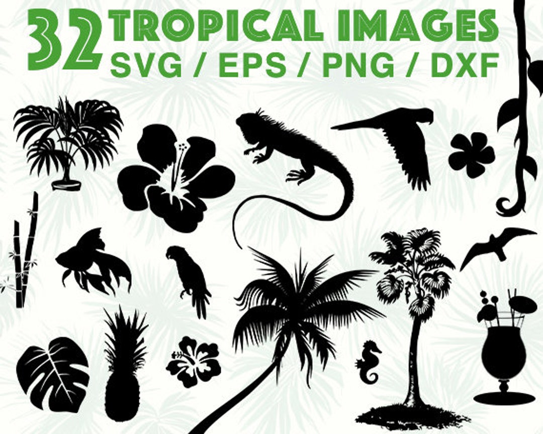 32 Tropical SVG Bundle | Tropical Plants | Tropical Animals | Tropical ...