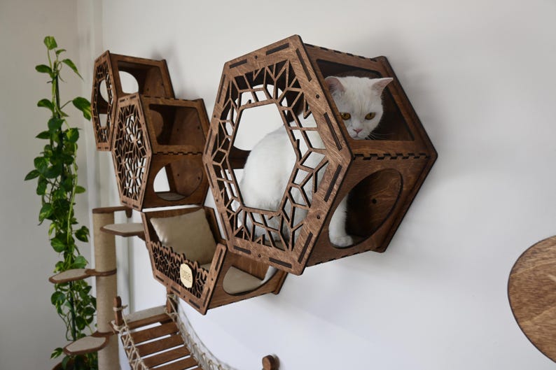 Wall Furniture for Cat Shelves, Playground Shelf for Cat, Climbing Wall ...