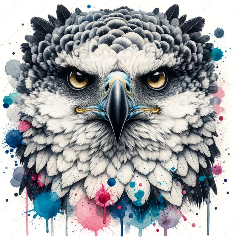 Bald Eagle Clipart 10 High-quality Images Wildlife Art Bald Eagle ...