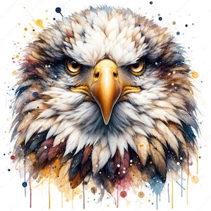 Bald Eagle Clipart 10 High-quality Images Wildlife Art Bald Eagle ...