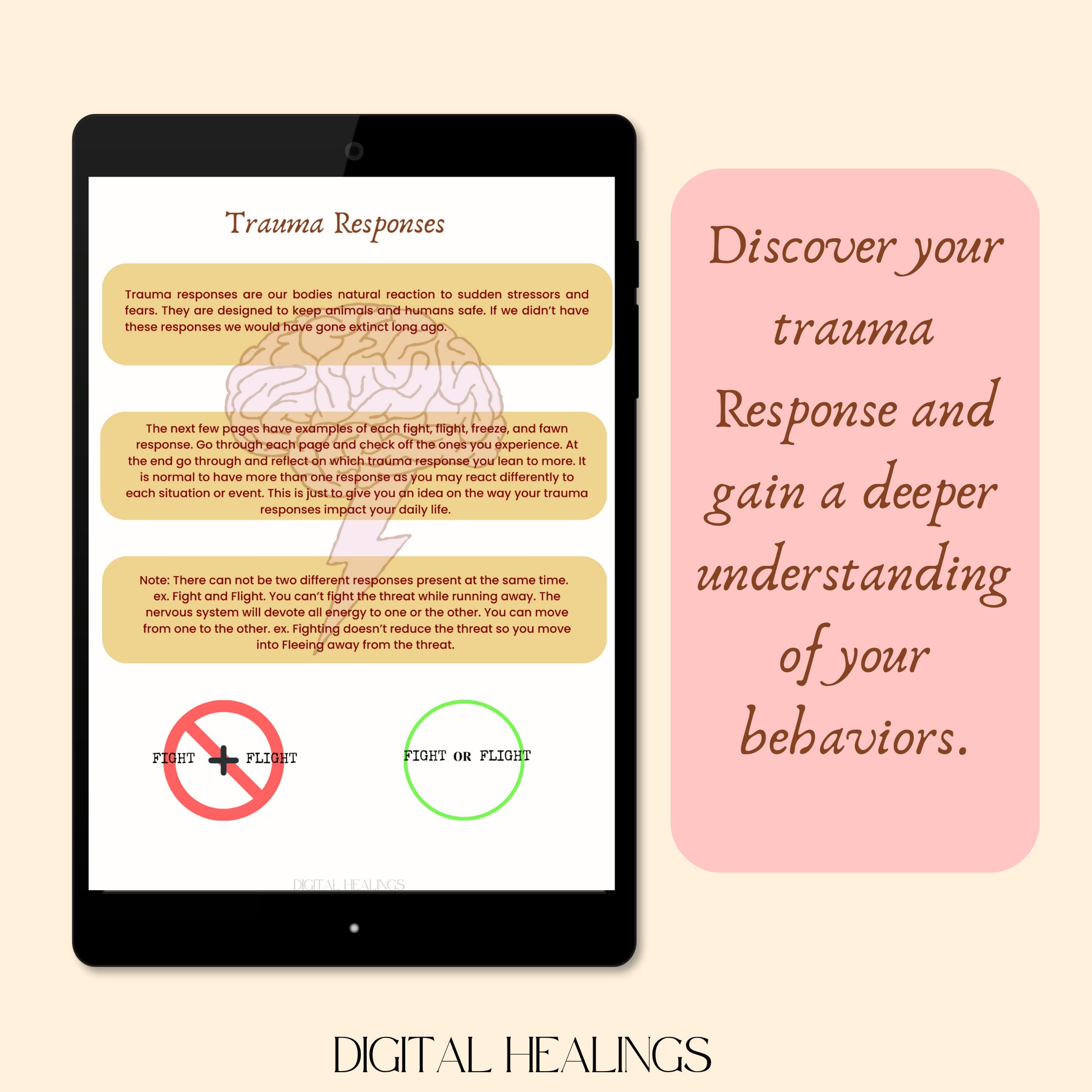 Complex PTSD Workbook: CPTSD Workbook Work Towards Self - Etsy