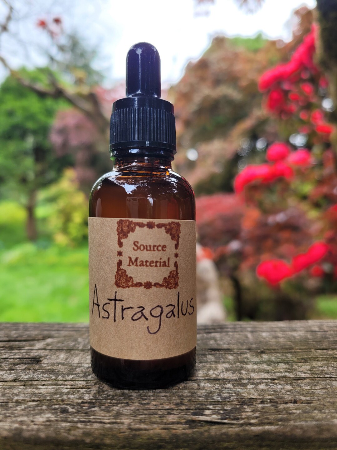 Astragalus Root Tincture - Etsy