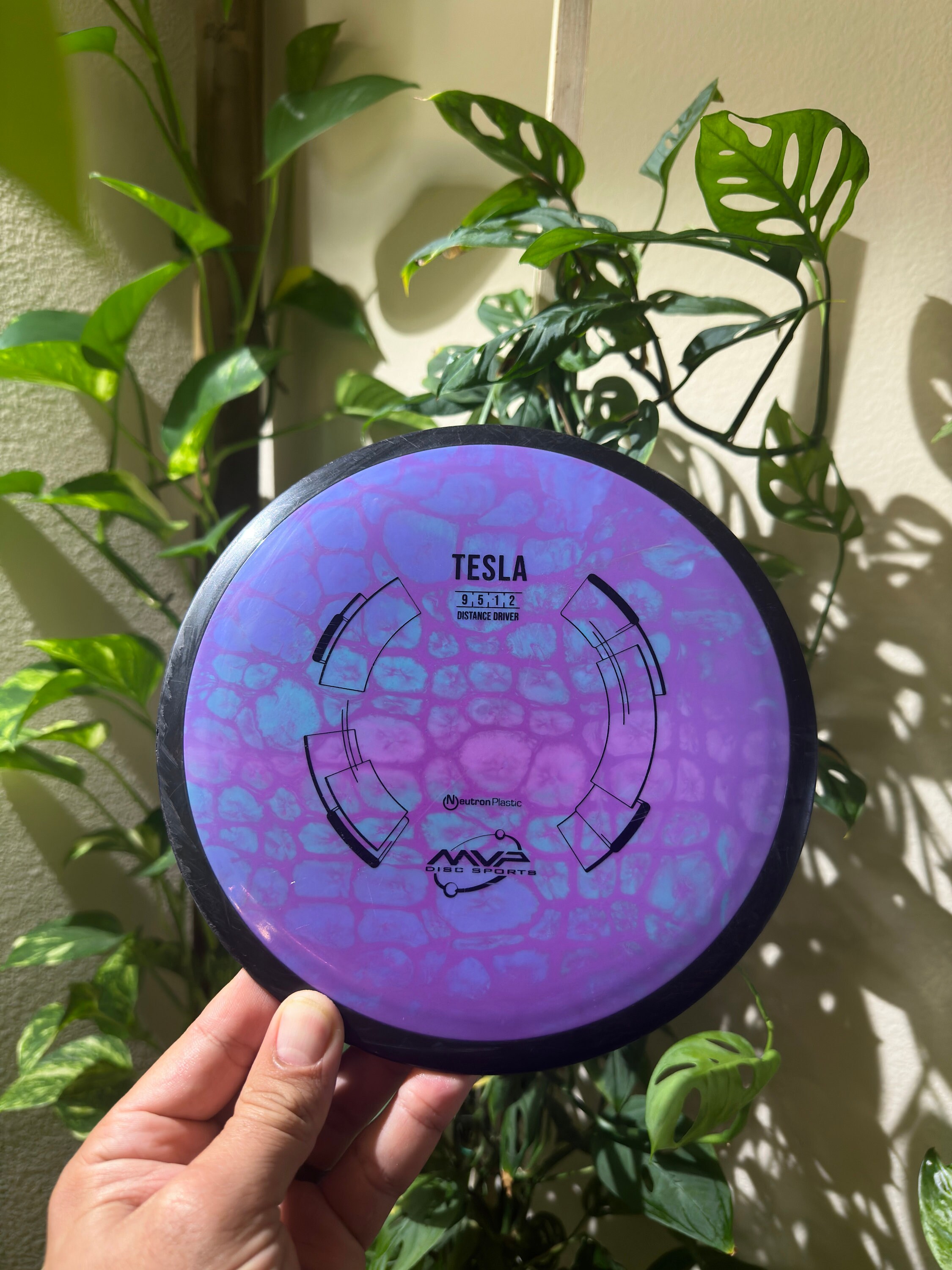 Dye Your Own Disc. Pick Disc and Pick Dye. All Images Are Not - Etsy