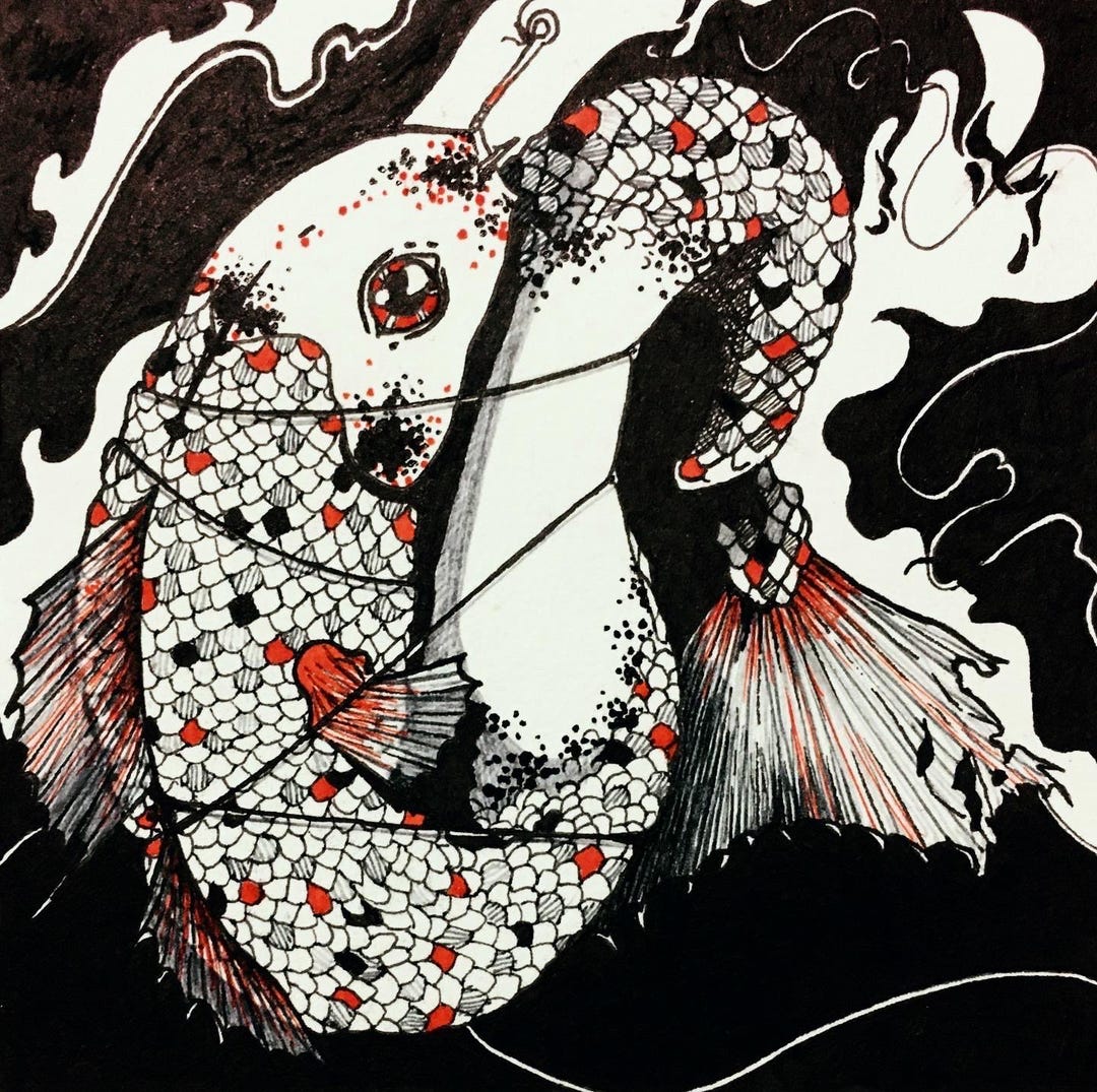 Original Pen and Ink Fish Drawing: "tangled" - Signed & Framed - Etsy
