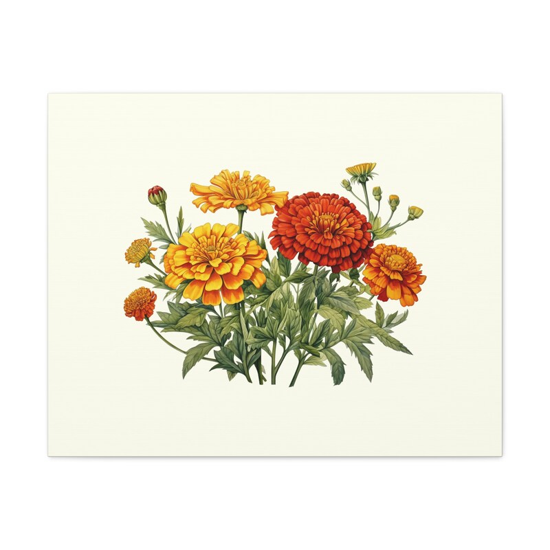 Marigold Print - Etsy