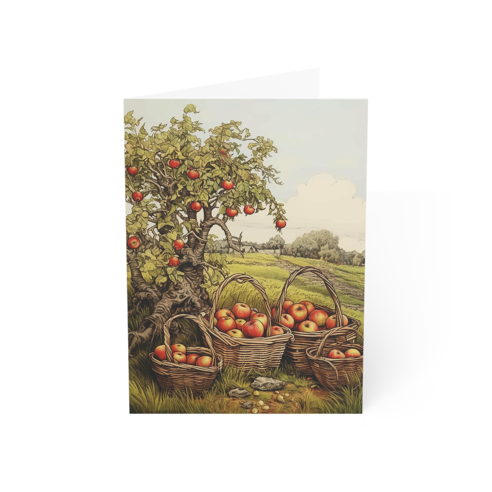 Apple Orchard Greeting Cards | Rustic Farmhouse Art, Envelopes Included ...