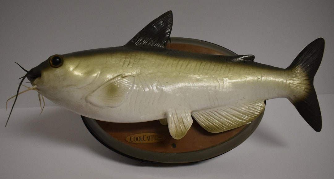 Cool Catfish Animated Singing Talking by Gemmy 2000 - Etsy